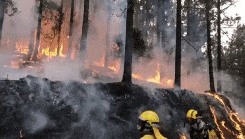 QCM/Artificial Intuition in Advanced Wildfire Planning – Artificial ...